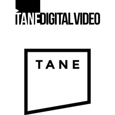 TANE – Creative Development Process – LET'S PANDA