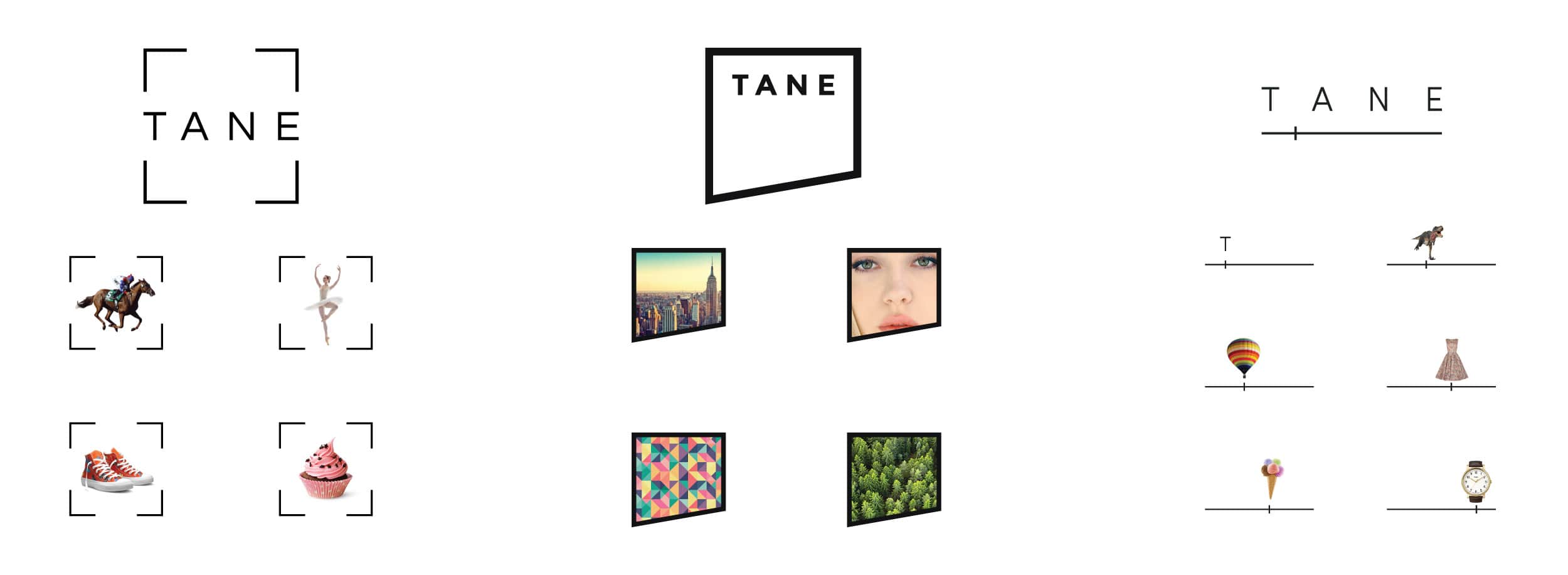 TANE – Creative Development Process – LET'S PANDA