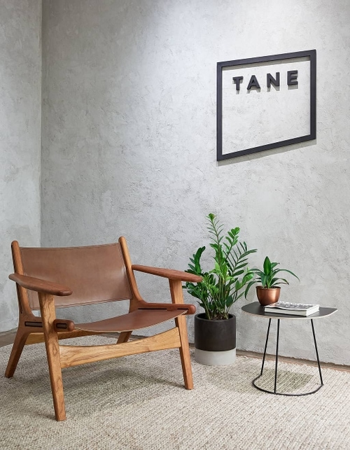 TANE; Tane Digital Video – Complete Rebranding – LET'S PANDA