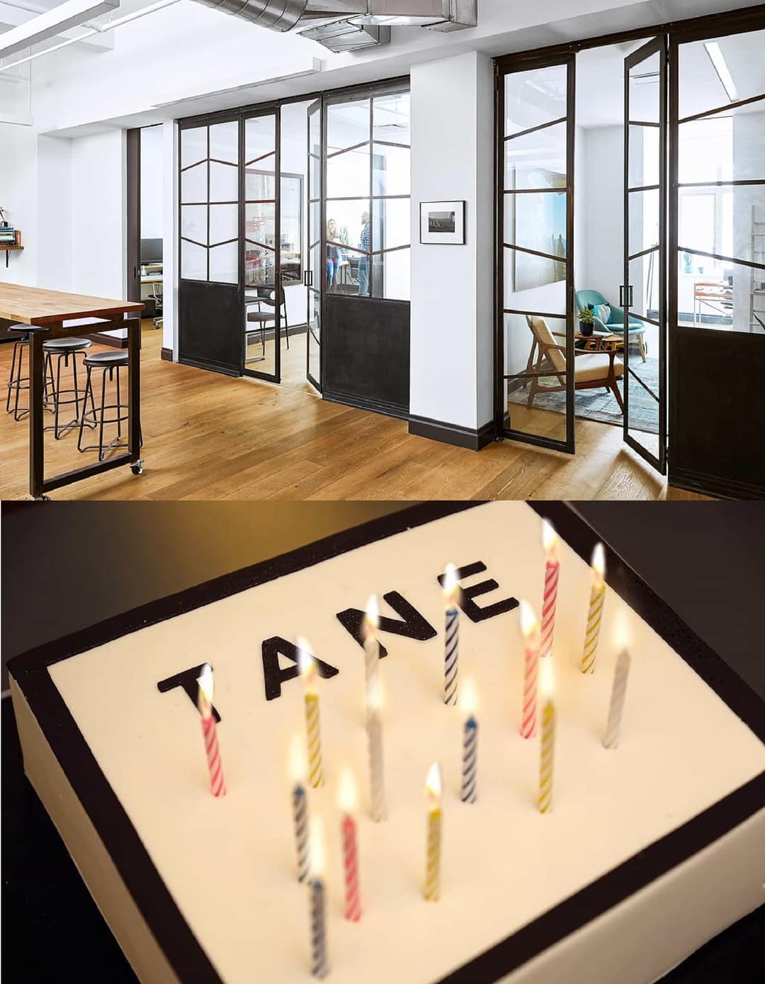 TANE; Tane Digital Video – Complete Rebranding – LET'S PANDA