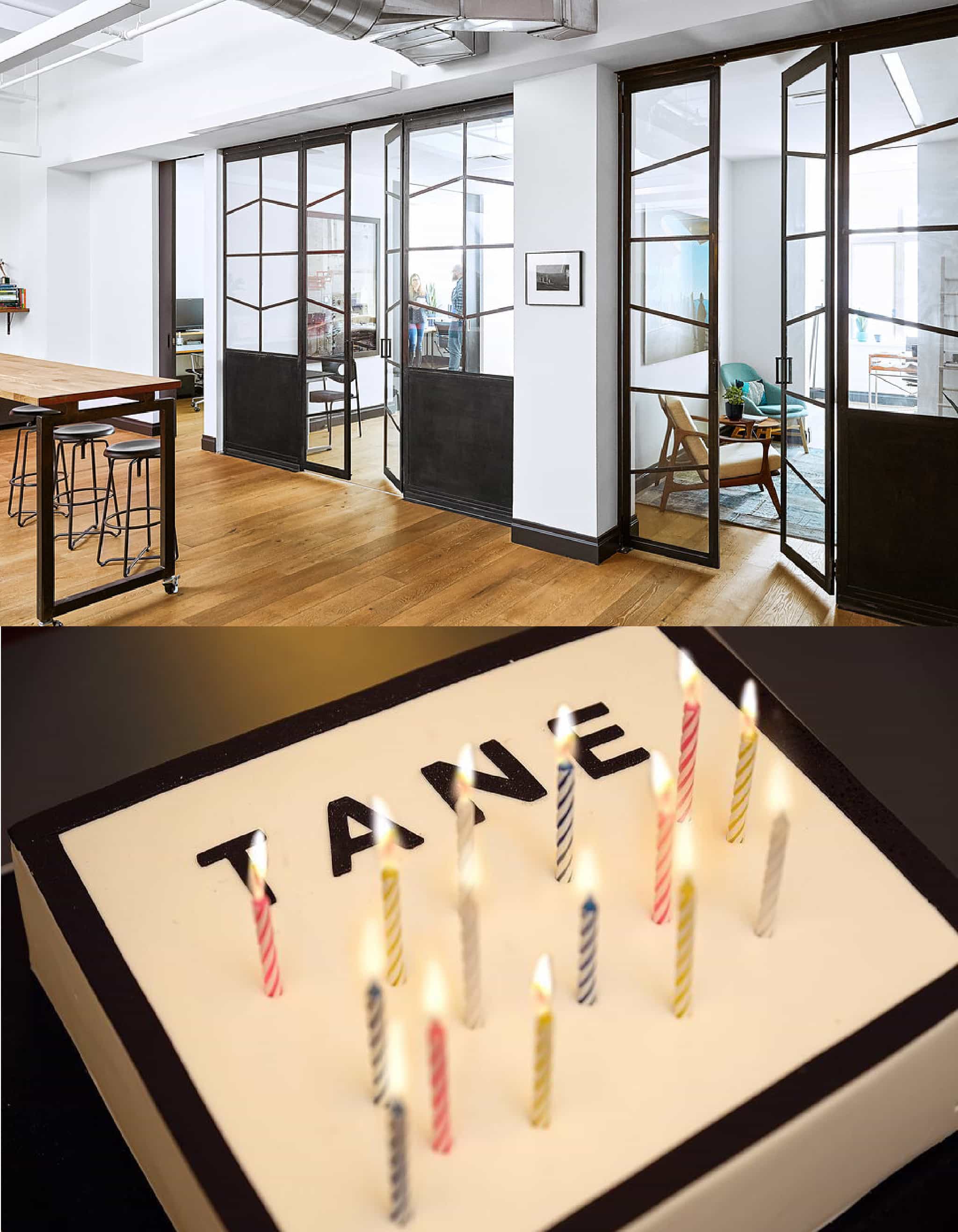 TANE; Tane Digital Video – Complete Rebranding – LET'S PANDA