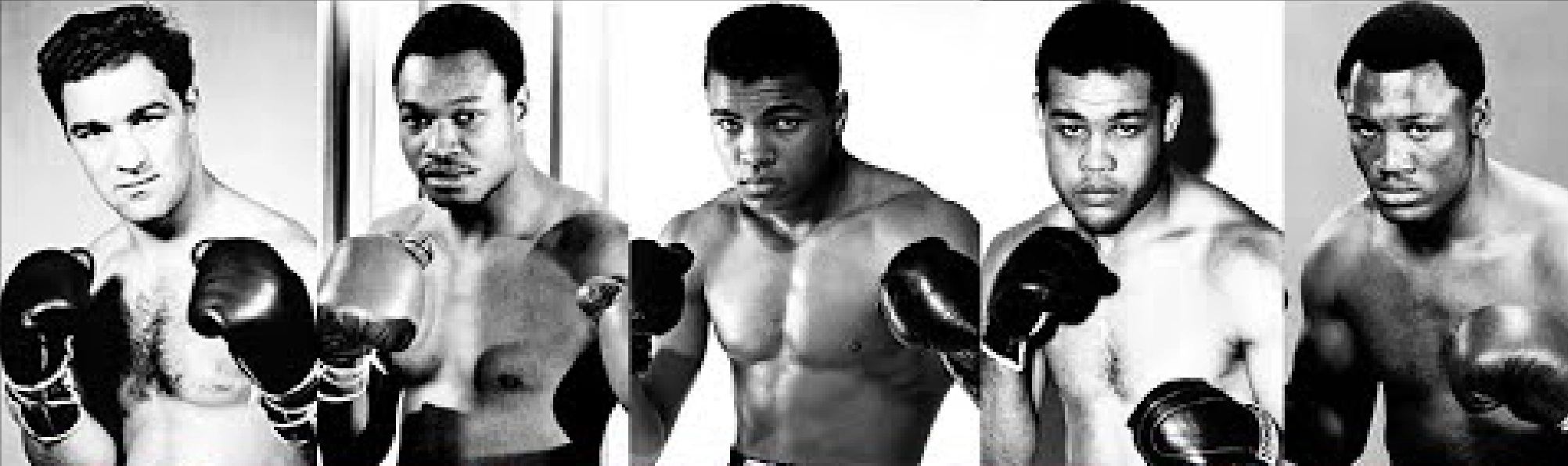 Titans of the Ring: A Journey Through Heavyweight Boxing