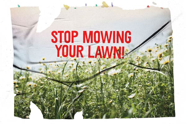 Rewilding Urban Permaculture