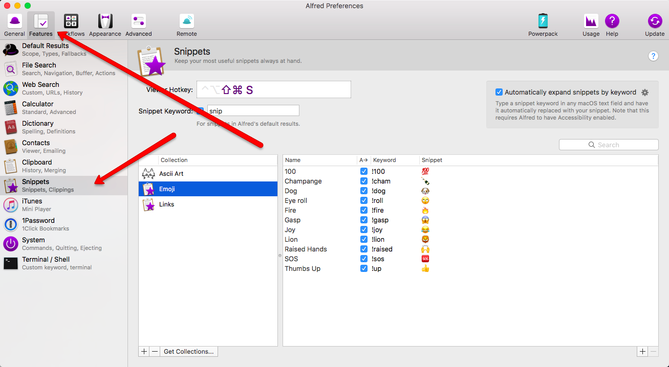 How to get Slack-Style Emoji Codes Everywhere on Mac - Nat Eliason