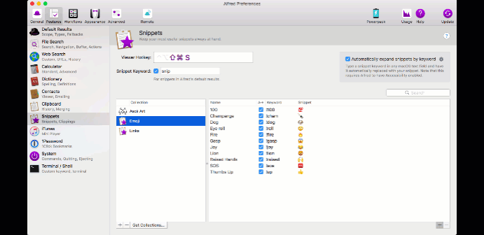 How to get Slack-Style Emoji Codes Everywhere on Mac - Nat Eliason