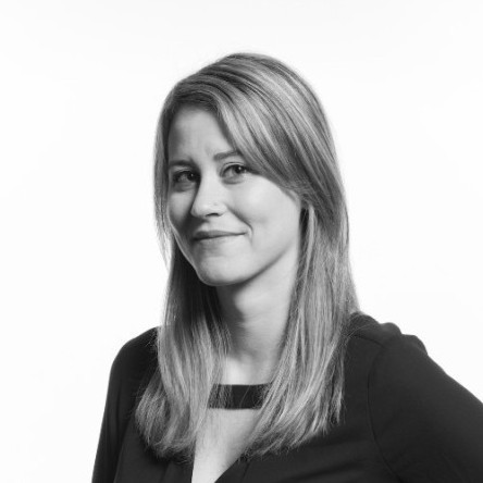 Sky Zone Case Study Mayple