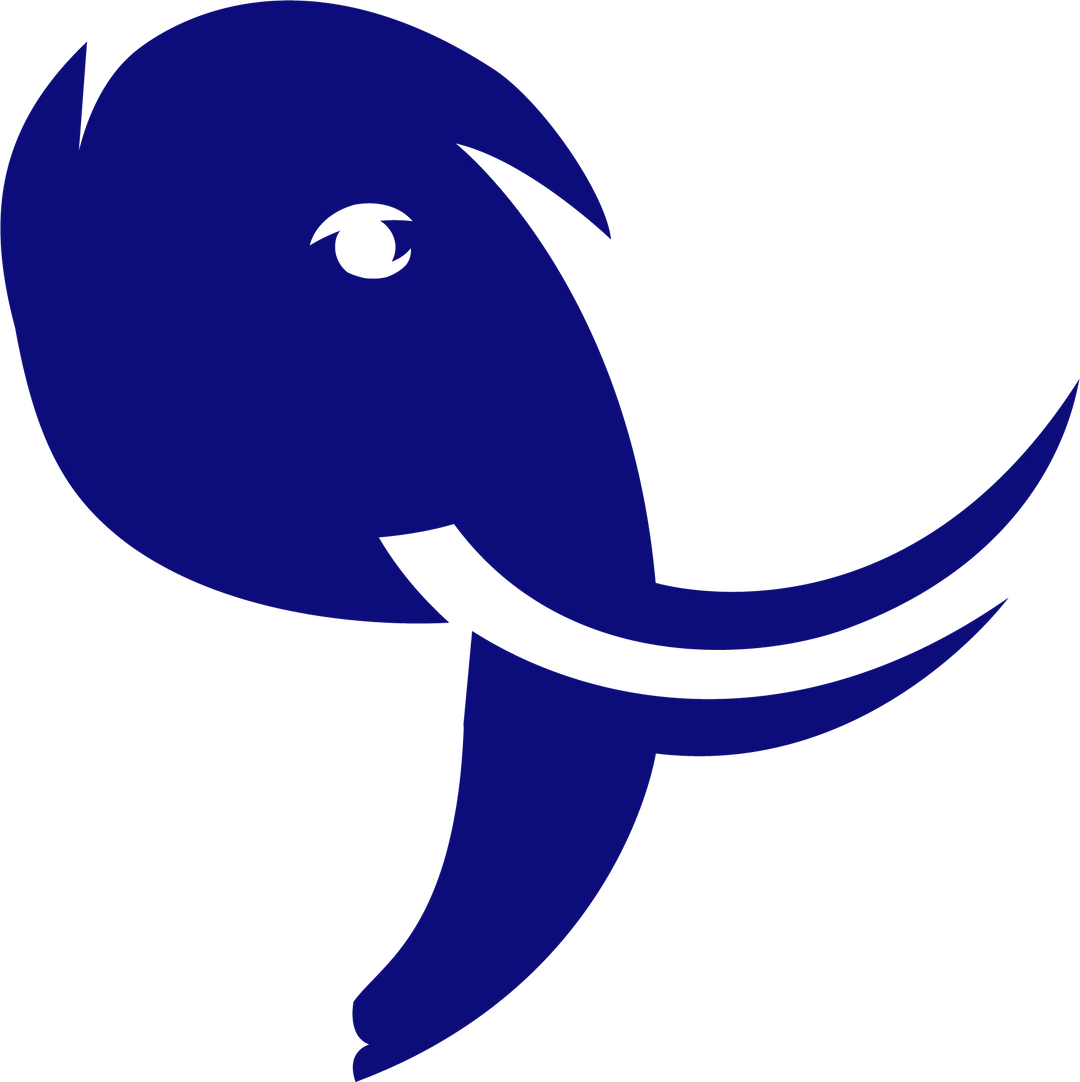 Celebration Ashes Case Study | Mayple