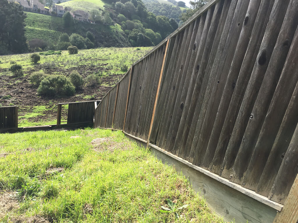 Ergeon – Featured Fence Installation: Sharon D. from Hayward, CA