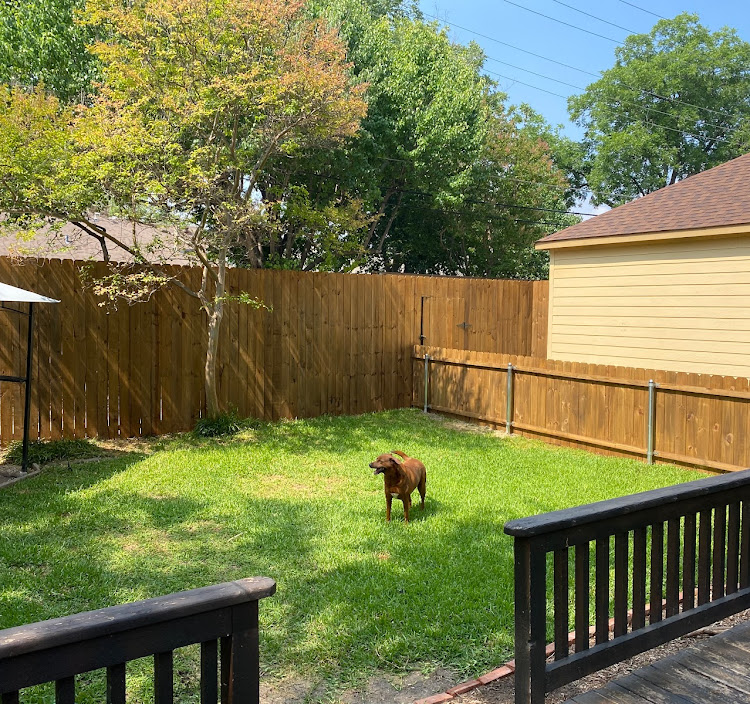 Ergeon – How a Fence Adds to Your Home’s Curb Appeal