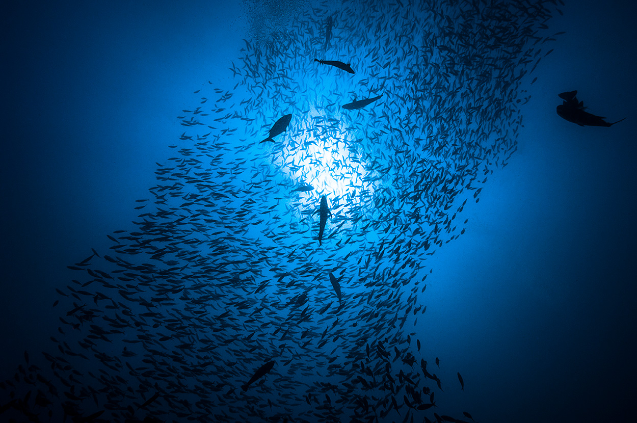 Moody's Community Impact | “Meet the Partner” Podcast Series: Episode 4 – Supporting ecosystem ...