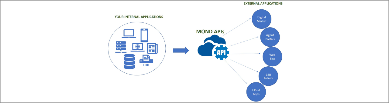 What Are Digital Ecosystems and Why You Need One