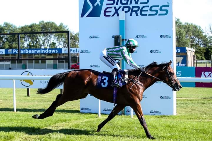 FIRST 2020 2 YEAR OLD WINNERS | Jamie Osborne - Bespoke Racehorse Trainer