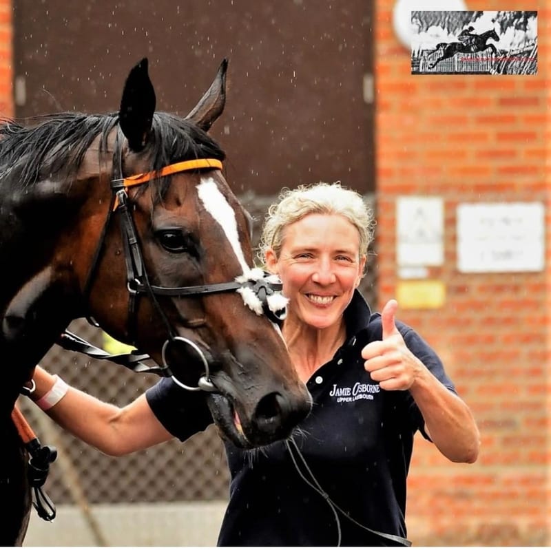 Horses in Training | Jamie Osborne - Bespoke Racehorse Trainer