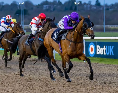 Horses in Training | Jamie Osborne - Bespoke Racehorse Trainer