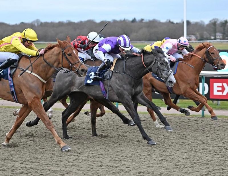 Horses in Training | Jamie Osborne - Bespoke Racehorse Trainer