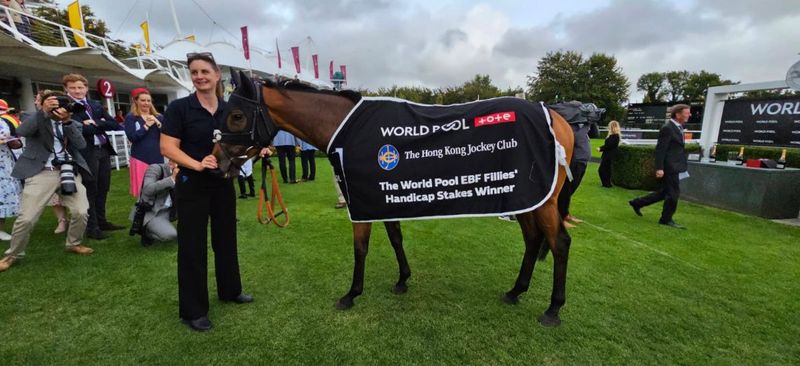 Horses in Training | Jamie Osborne - Bespoke Racehorse Trainer