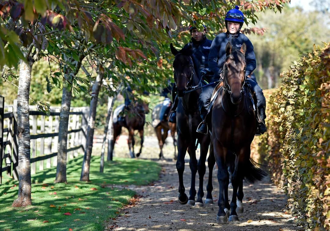 Home | Jamie Osborne - Bespoke Racehorse Trainer