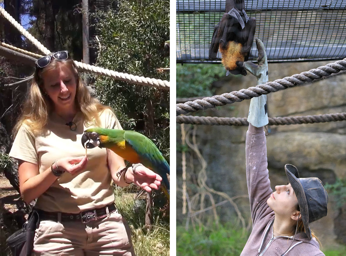 Oakland Zoo | Zookeeping