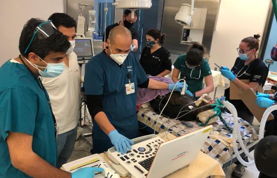 Advance Animal Care and Well Being