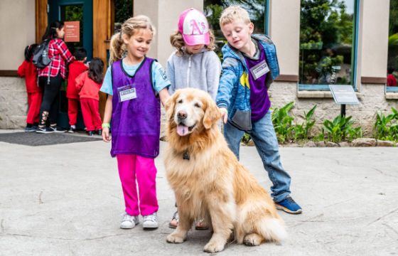 Rescue, Rehabilitate, Provide Sanctuary