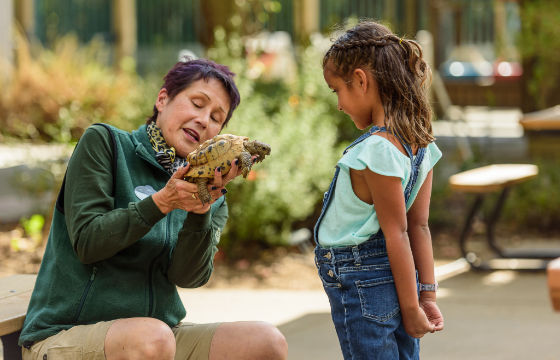 Advance Animal Care and Well Being