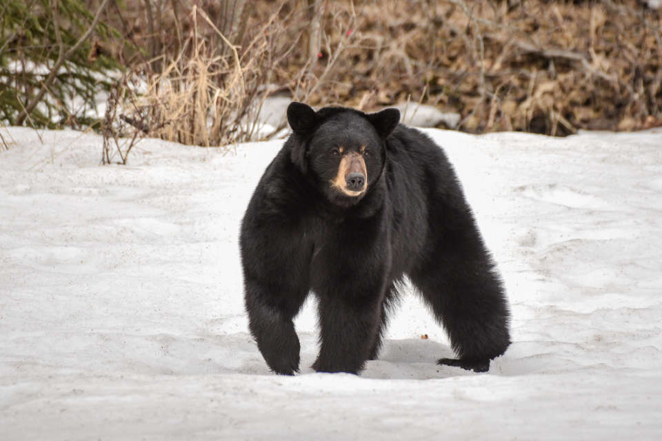Take Action for Our Climate | Oakland Zoo