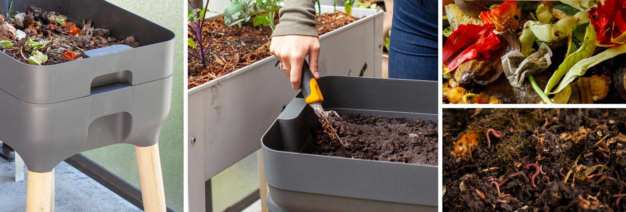 Take Action for Our Climate | Oakland Zoo