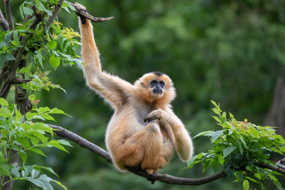 Take Action for Our Climate | Oakland Zoo