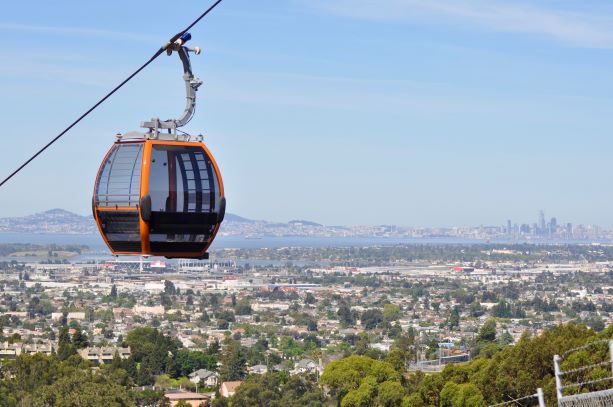 5 Fascinating Facts about the Oakland Zoo Gondola