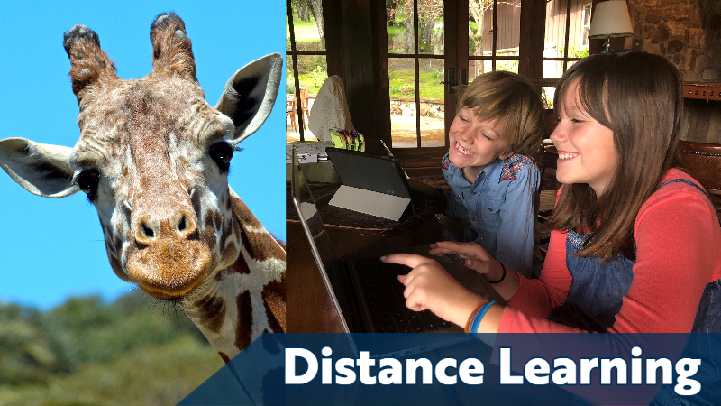 Oakland Zoo | Zoo@Home