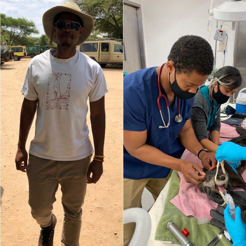 Oakland Zoo | Stories