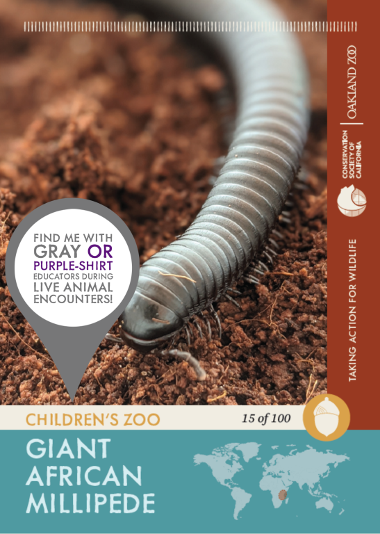 Oakland Zoo | Oakland Zoo Trading Cards