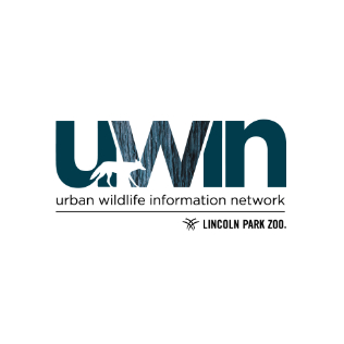 Conservation | Urban Wildlife Study