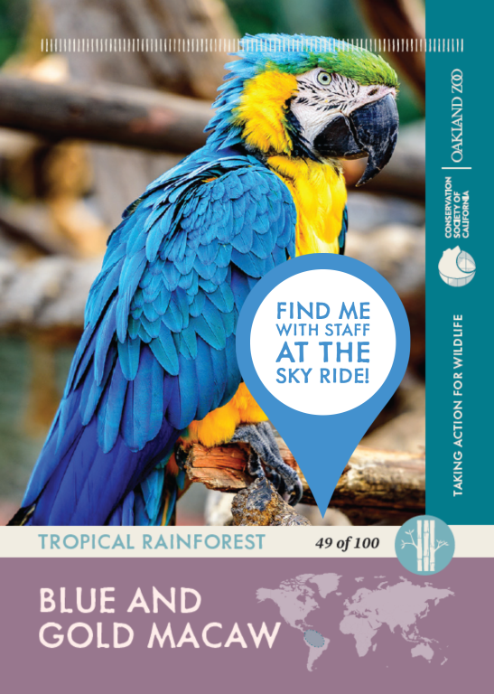 Oakland Zoo | Oakland Zoo Trading Cards