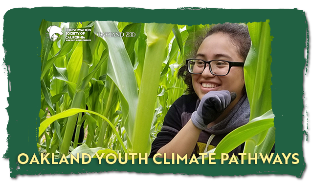 Conservation | Quarters for Conservation