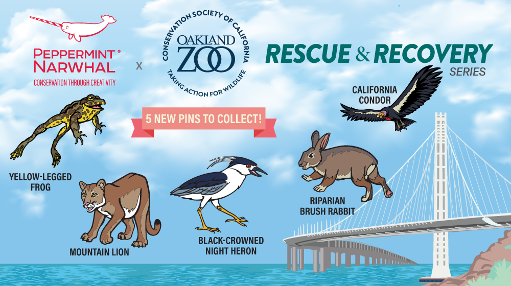 2023 Oakland Zoo Holiday Gift Guide