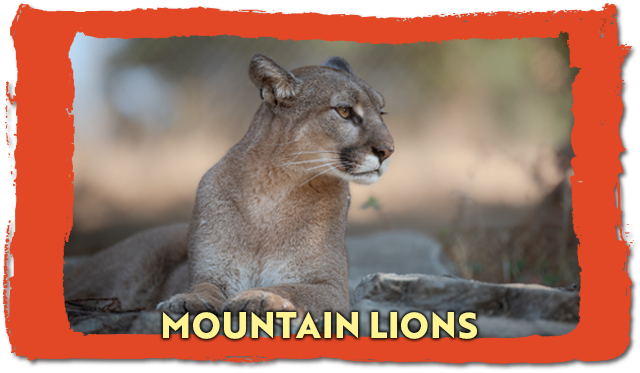 Conservation | Quarters for Conservation