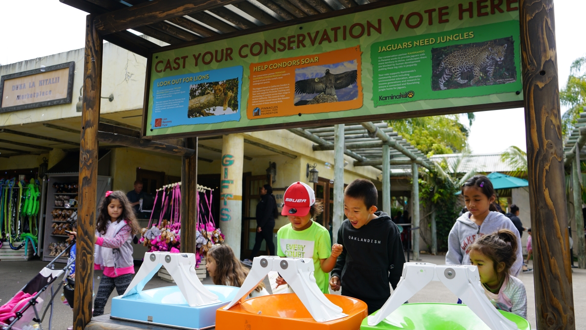 Conservation | Quarters for Conservation