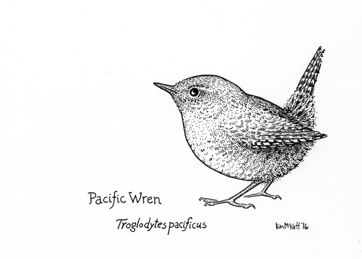 Drawing — Categories