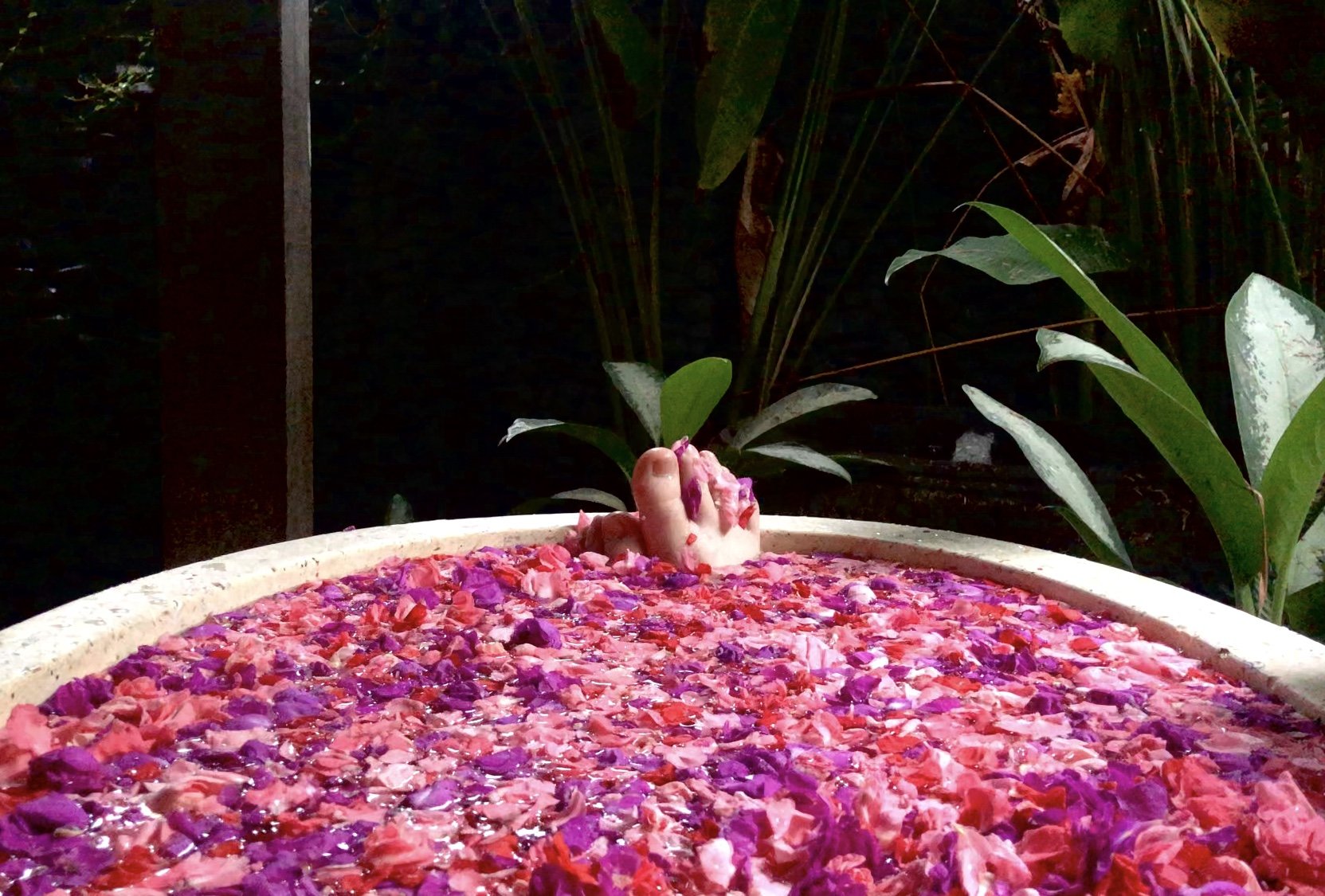 Mandi Bunga: Ritual Kuno dengan Manfaat Modern untuk Kecantikan dan ...