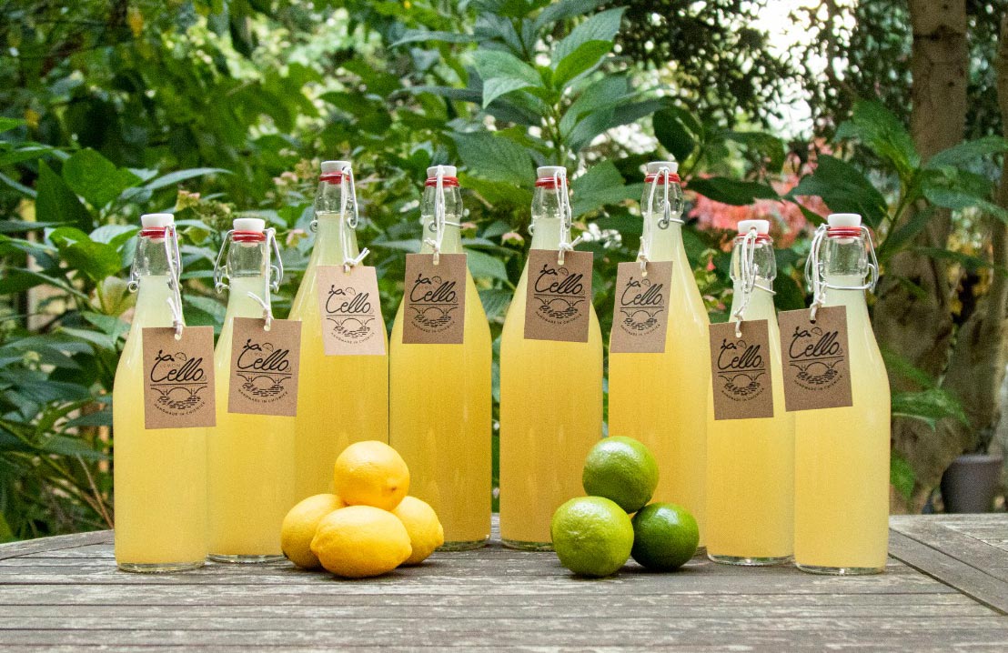 Cello - Brand creation and website design