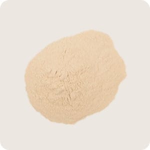 Coaching - Boost Your Biology