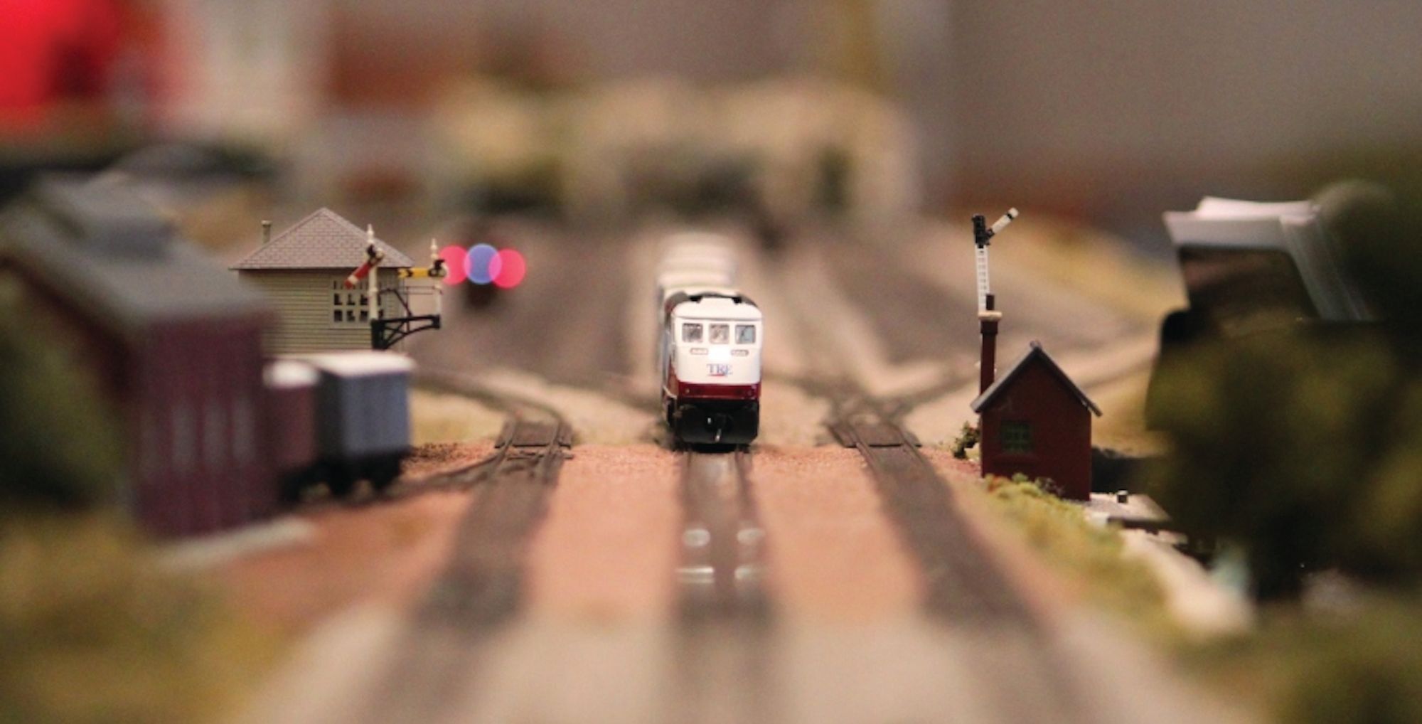 Dallas Area Train Show 2024