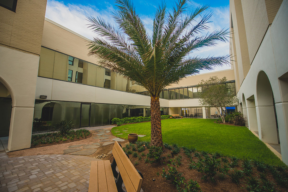 Ochsner Westbank | Mullin Landscape Projects