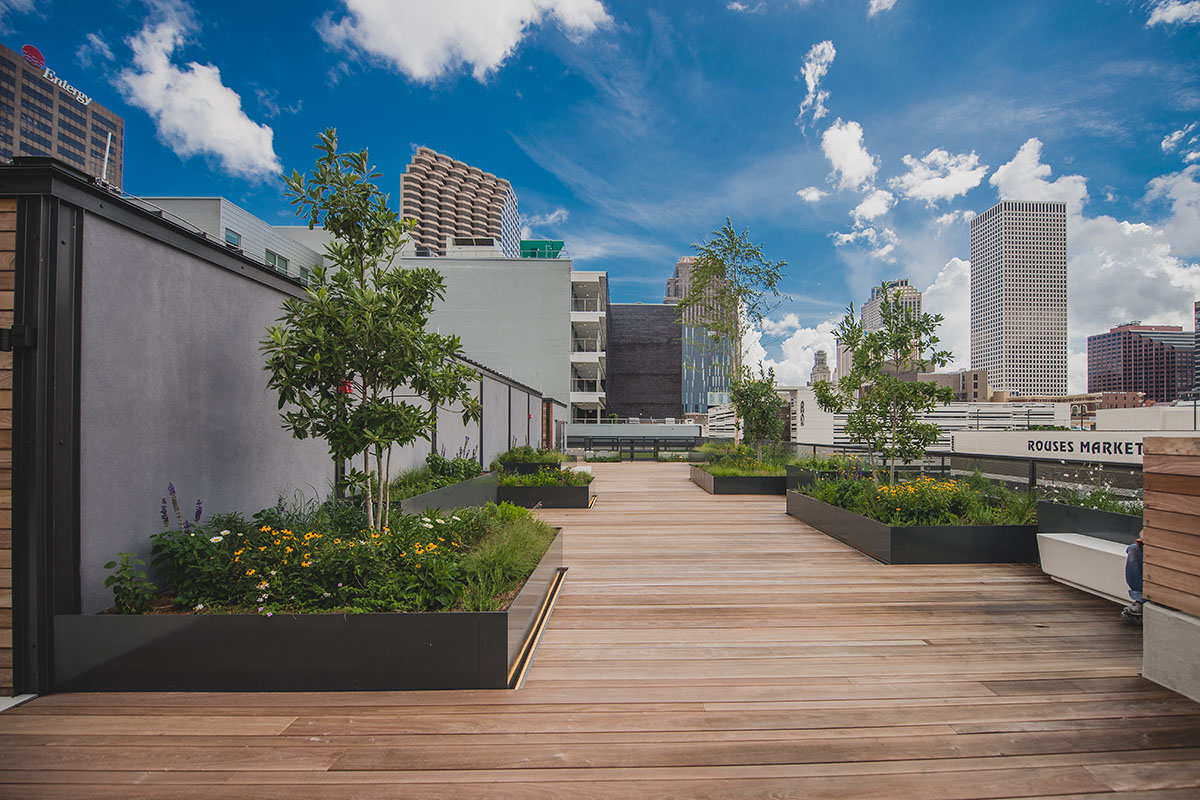 The Standard | Mullin Landscape Projects