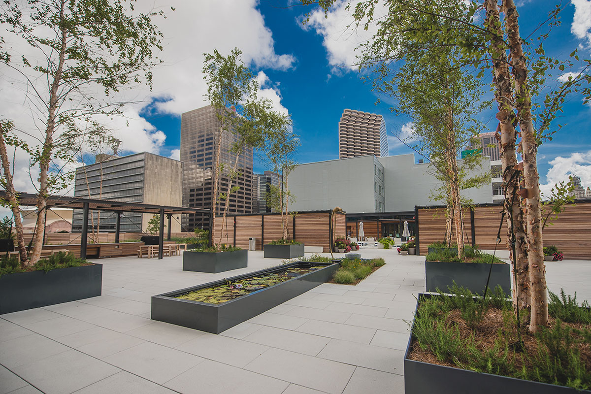 The Standard | Mullin Landscape Projects