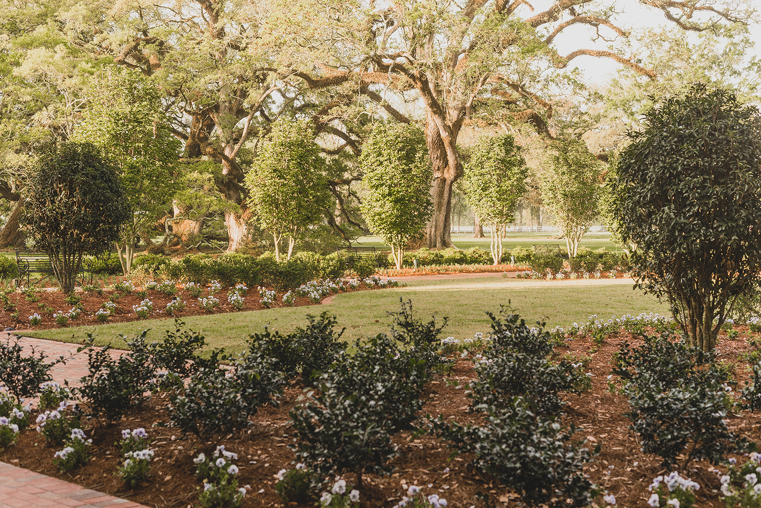 Oak Alley Plantation | Mullin Landscape Projects