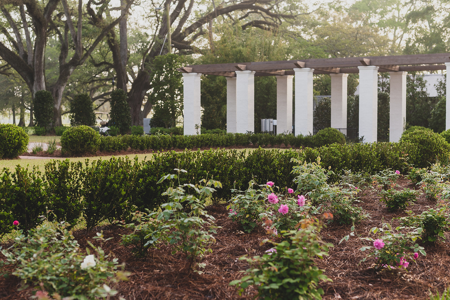 Oak Alley Plantation | Mullin Landscape Projects