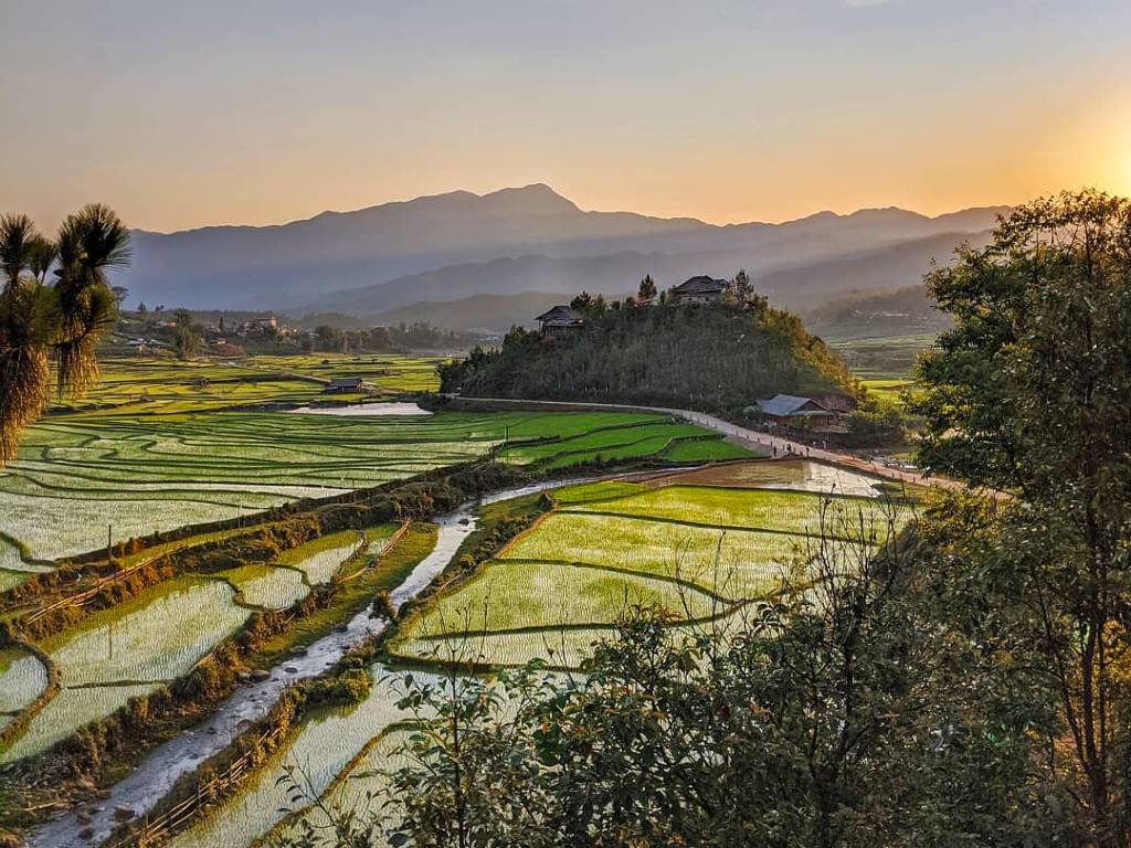 These Vietnamese Rice Terraces Might Be the Most Spectacular in the World