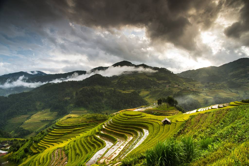 These Vietnamese Rice Terraces Might Be the Most Spectacular in the World